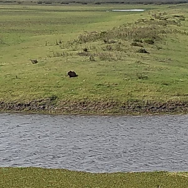 Estacao Ecologica Do Taim - 3 tips