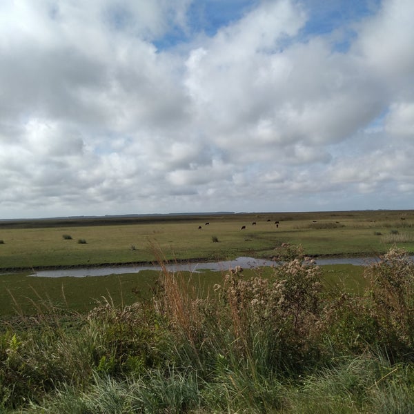 Estacao Ecologica Do Taim - 3 tips