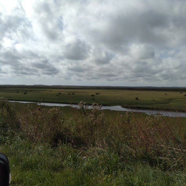 Estacao Ecologica Do Taim - 3 tips