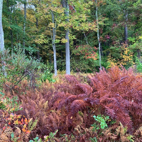 Mass Audubon Pleasant Valley Wildlife Sanctuary - 472 W Mountain Rd