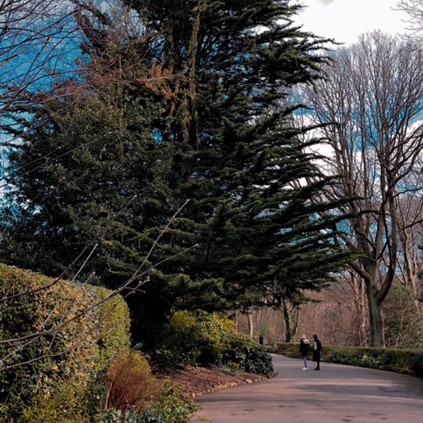 Northumberland Park - Landmarks and Outdoors in North Shields