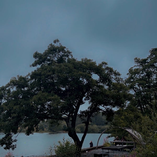 Windermere Jetty - Waterfront