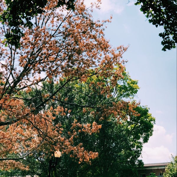 Roger Stout Hall - College History Building in Johnson City