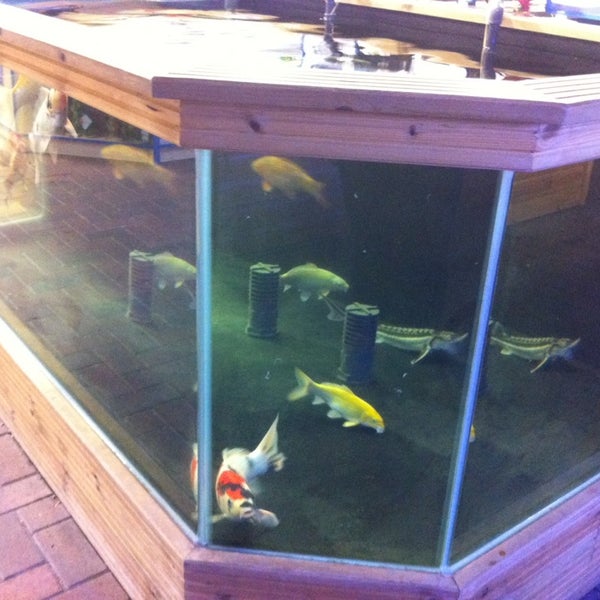 Simpsons Garden Centre Fish Tanks | Fasci Garden