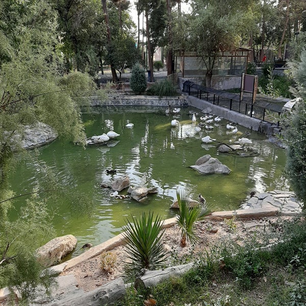 Photos at Tehran Zoo | باغ وحش تهران - منطقه ۵ - Eram Park