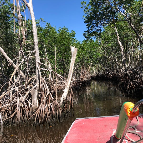 The Everglades - Naples, FL