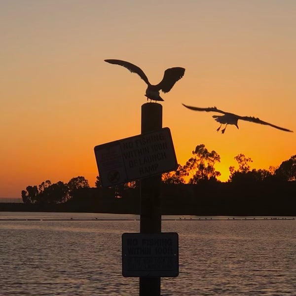 Lake Miramar Hiking Trail - Scripps Ranch - 4 tips from 167 visitors