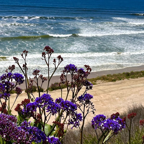 Del Mar