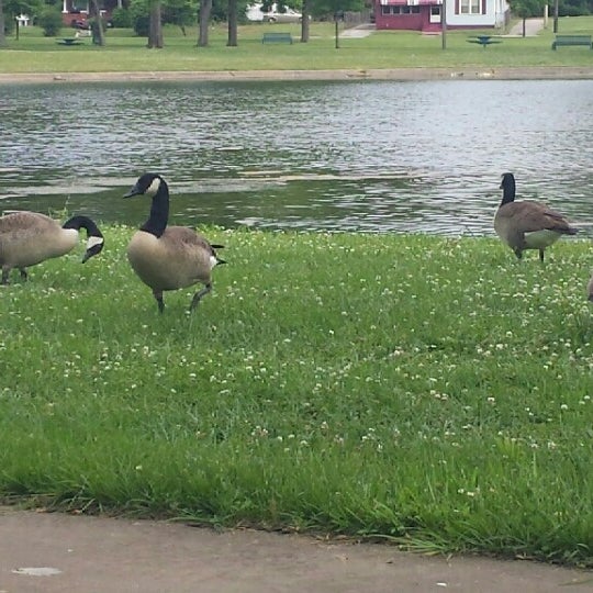 W.C. Patton Park - Park