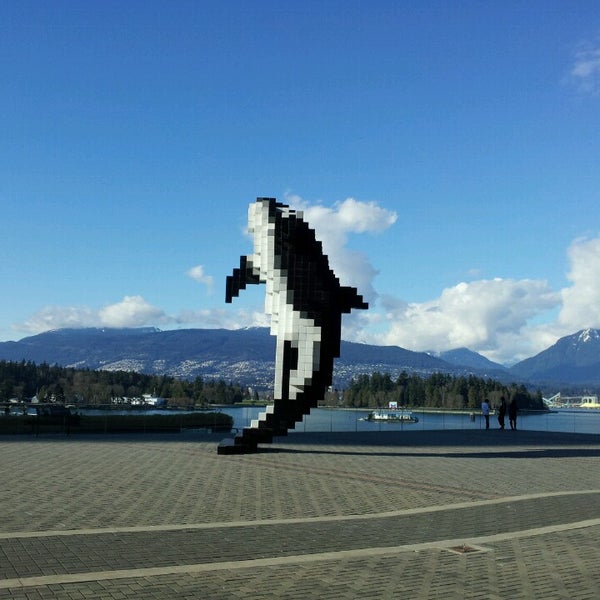 Digital Orca - Coal Harbour - 7 tips from 853 visitors