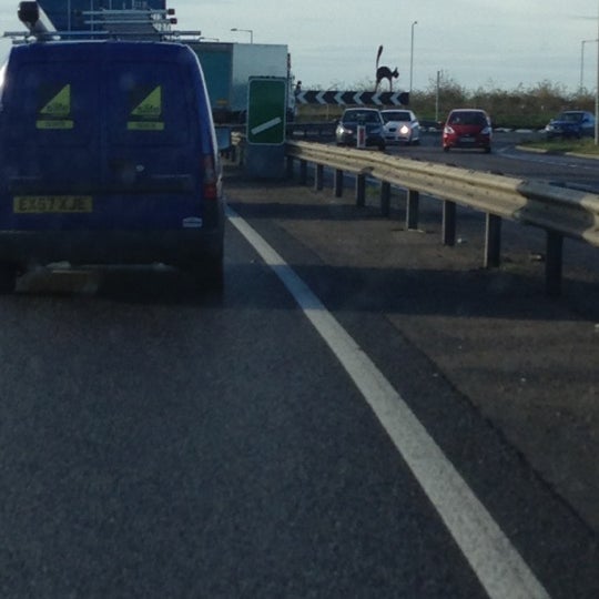 Black Cat Roundabout - 2 tips from 155 visitors