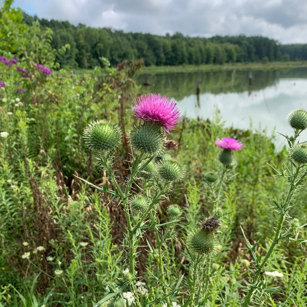 Sandy Ridge Reservation - Park