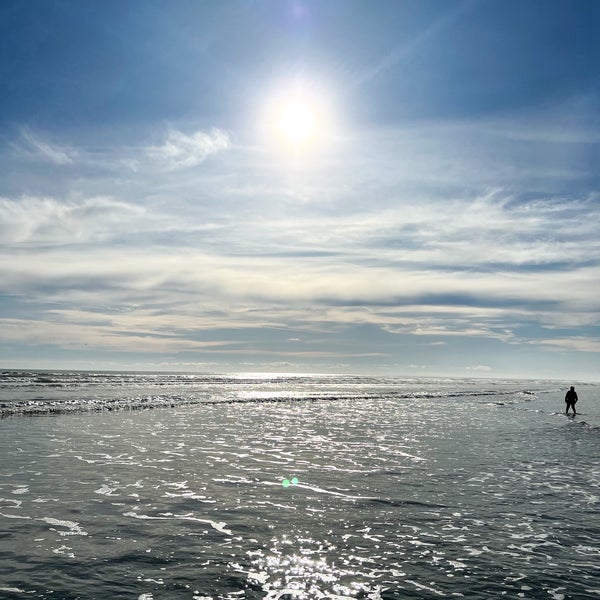Foxton Beach - Beach in Foxton Beach