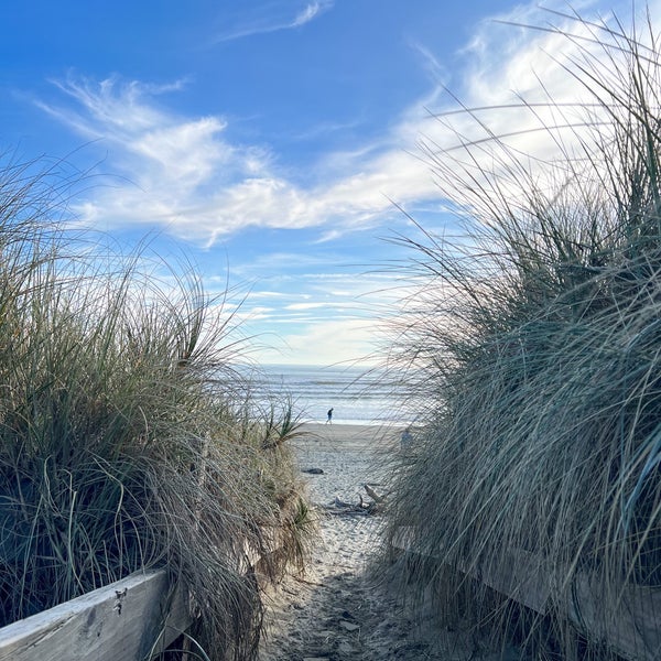 Foxton Beach - Beach in Foxton Beach