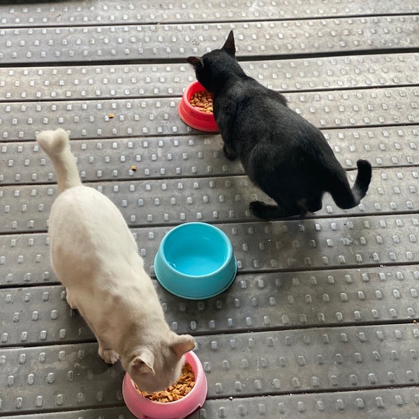 One Parkade - 6 tips from 996 visitors