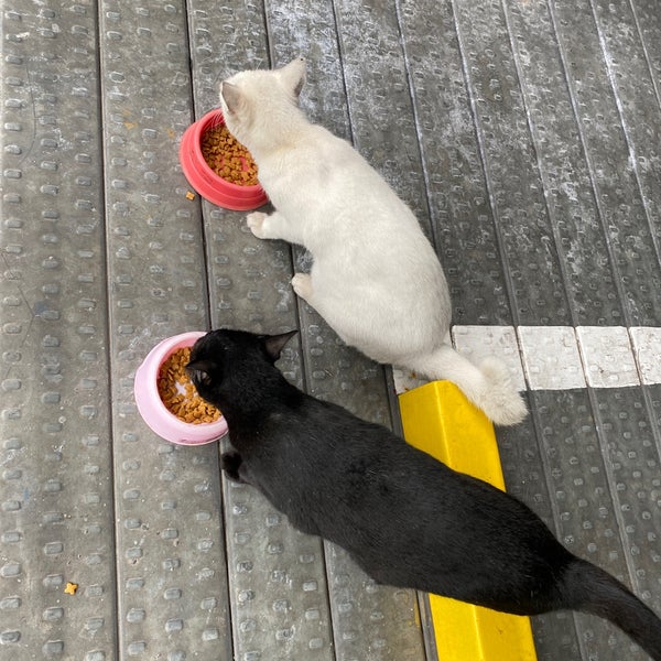 One Parkade - 6 tips from 996 visitors