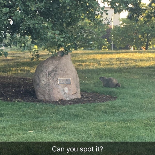 University of Michigan Wolverine Tower - South Ann Arbor - 5 tips from ...