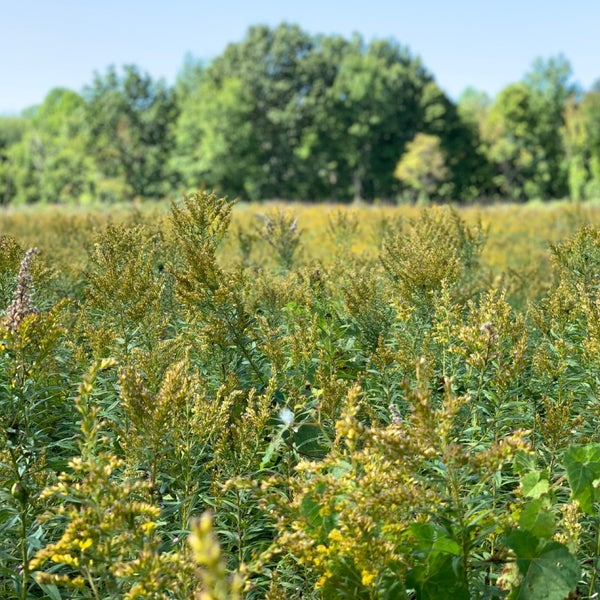Photos at Whiting Road Nature Preserve - Hiking Trail in Webster