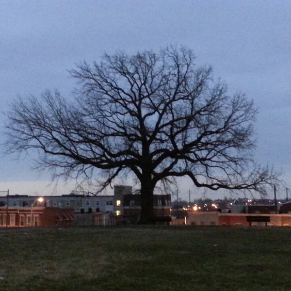 Collington Square Park - Park in Baltimore