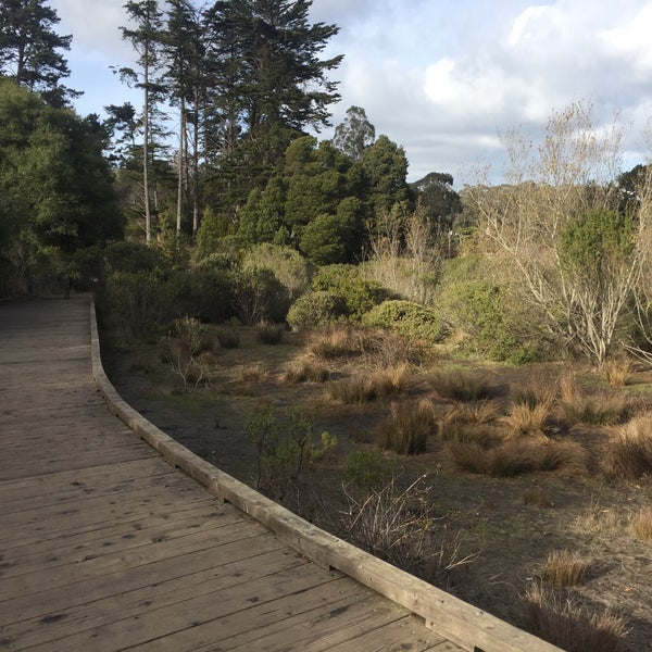El Polín Spring - Presidio National Park - San Francisco, CA