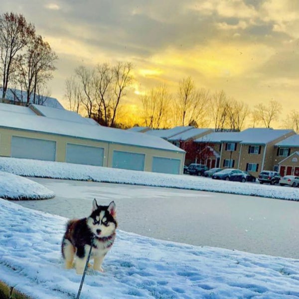 Olin Hall - University of Akron - Akron, OH