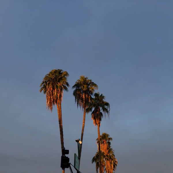 Murphy Bridle Path - 4 tips from 252 visitors