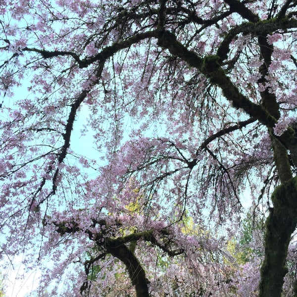 Arboretum - Lower Queen Anne - Seattle, WA