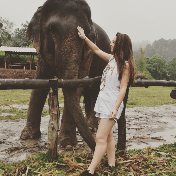 elephant pride sanctuary - maewang, เชียงใหม่