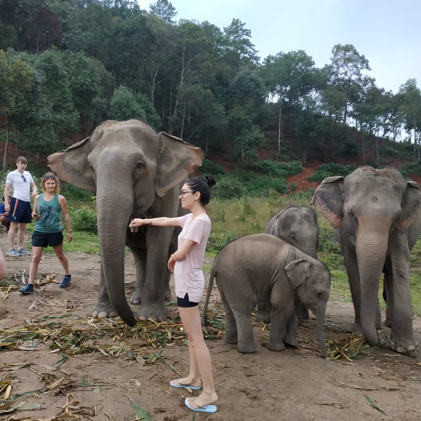 elephant pride sanctuary - maewang, เชียงใหม่