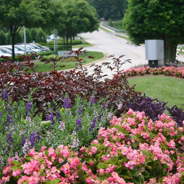 Fontaine Landscaping - Holly Springs, NC