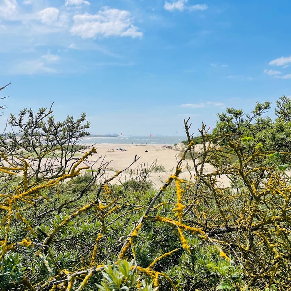 Natuurreservaat Het Zwin