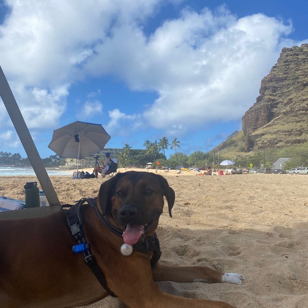 Makaha Beach Park - 14 tips from 1047 visitors