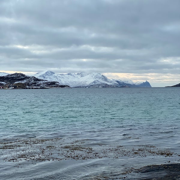 Brensholmen - Harbor or Marina