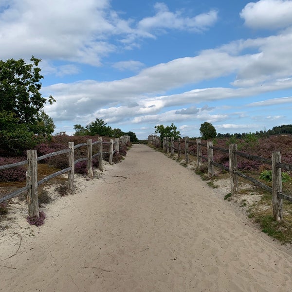 Frensham Little Pond - Frensham, Surrey