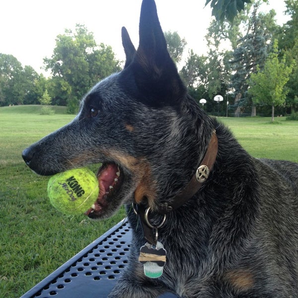 Photos at Howard Hueston Park - Glenwood Grove - North Iris - 3 tips