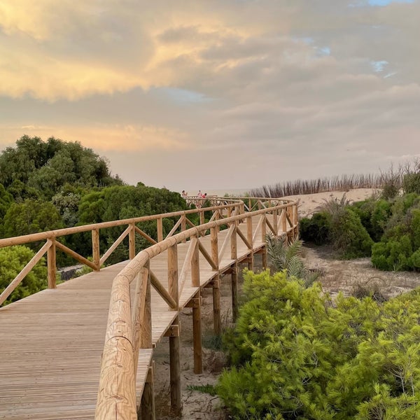 playa babilonia - Guardamar de la Safor, Comunitat Valenciana