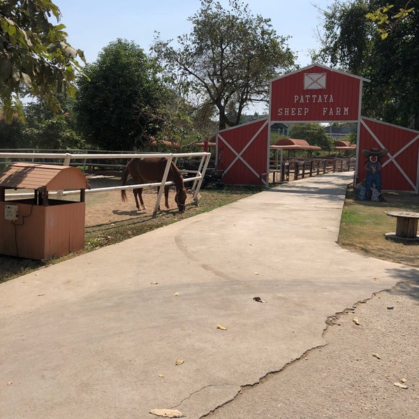 Pattaya Sheep Farm - Farm