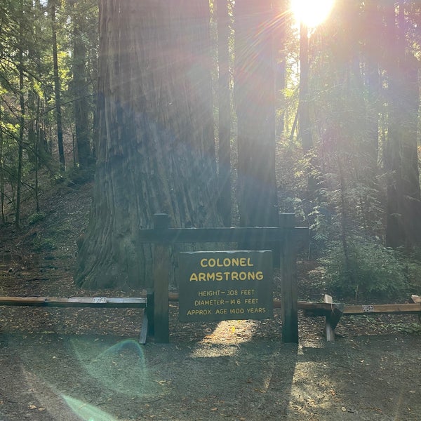 Armstrong Redwoods State Natural Reserve - 17000 Armstrong Woods Rd