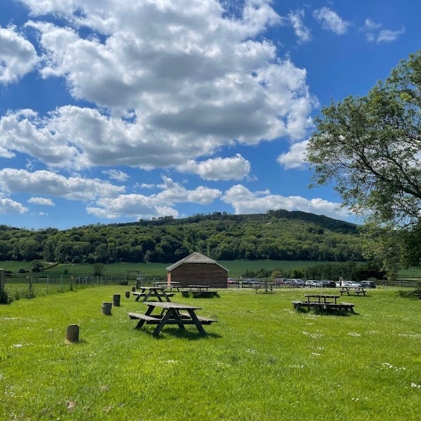 Bignor Roman Villa - Historic and Protected Site in Bignor
