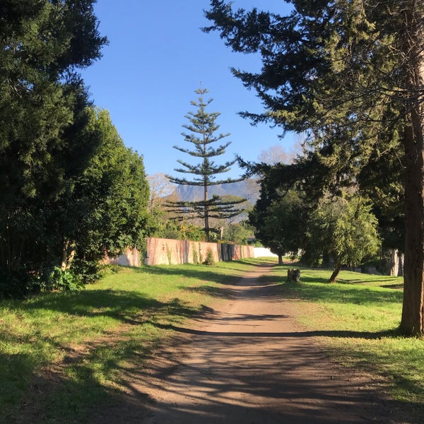 Alphen Trail - Constantia - 3 tips