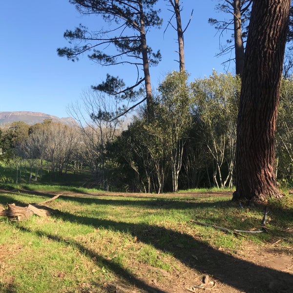 Alphen Trail - Constantia - 3 tips