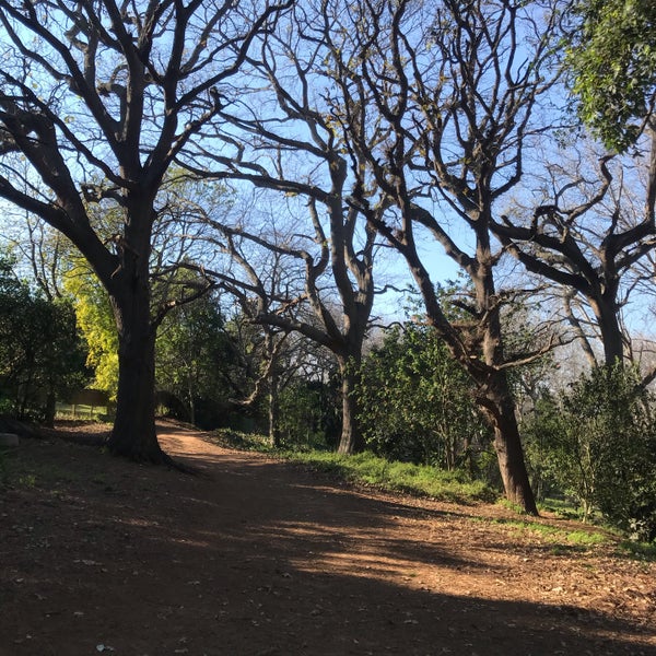 Alphen Trail - Constantia - 3 tips