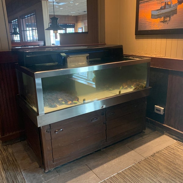 Red Lobster Lobster Tank