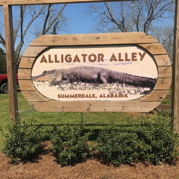 Alligator Alley - 19950 County Road 71