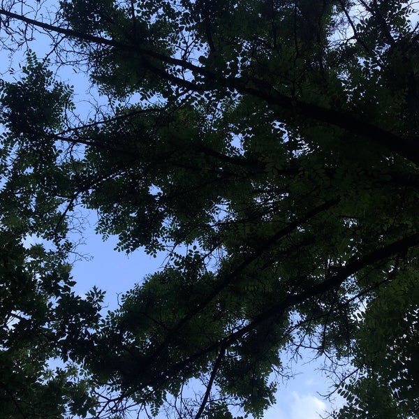 Shamim Paydari Park | پارک شمیم پایداری - 28 tips