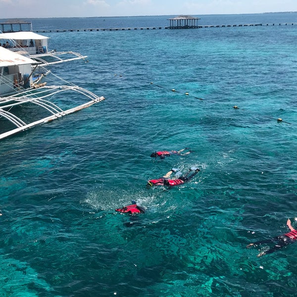 Photos at Gilutungan Marine Sanctuary - Cordova, Cebu