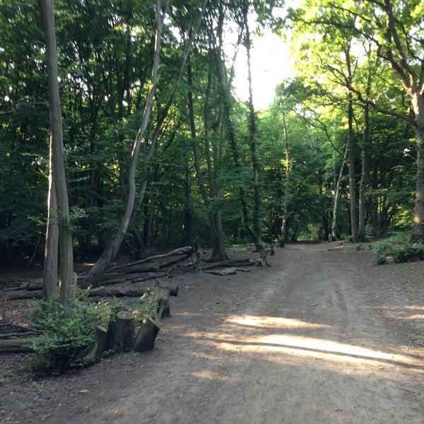 Ruislip Woods - Ruislip - London, Greater London