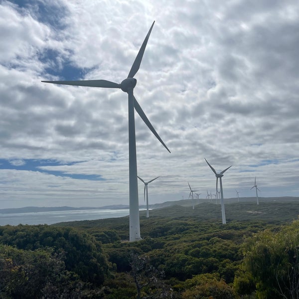 Albany Wind Farm - 5 tips from 306 visitors