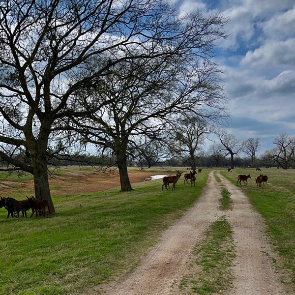 Moon River Ranch - Farm