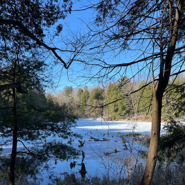 Huron Natural Area - 5 tips from 231 visitors